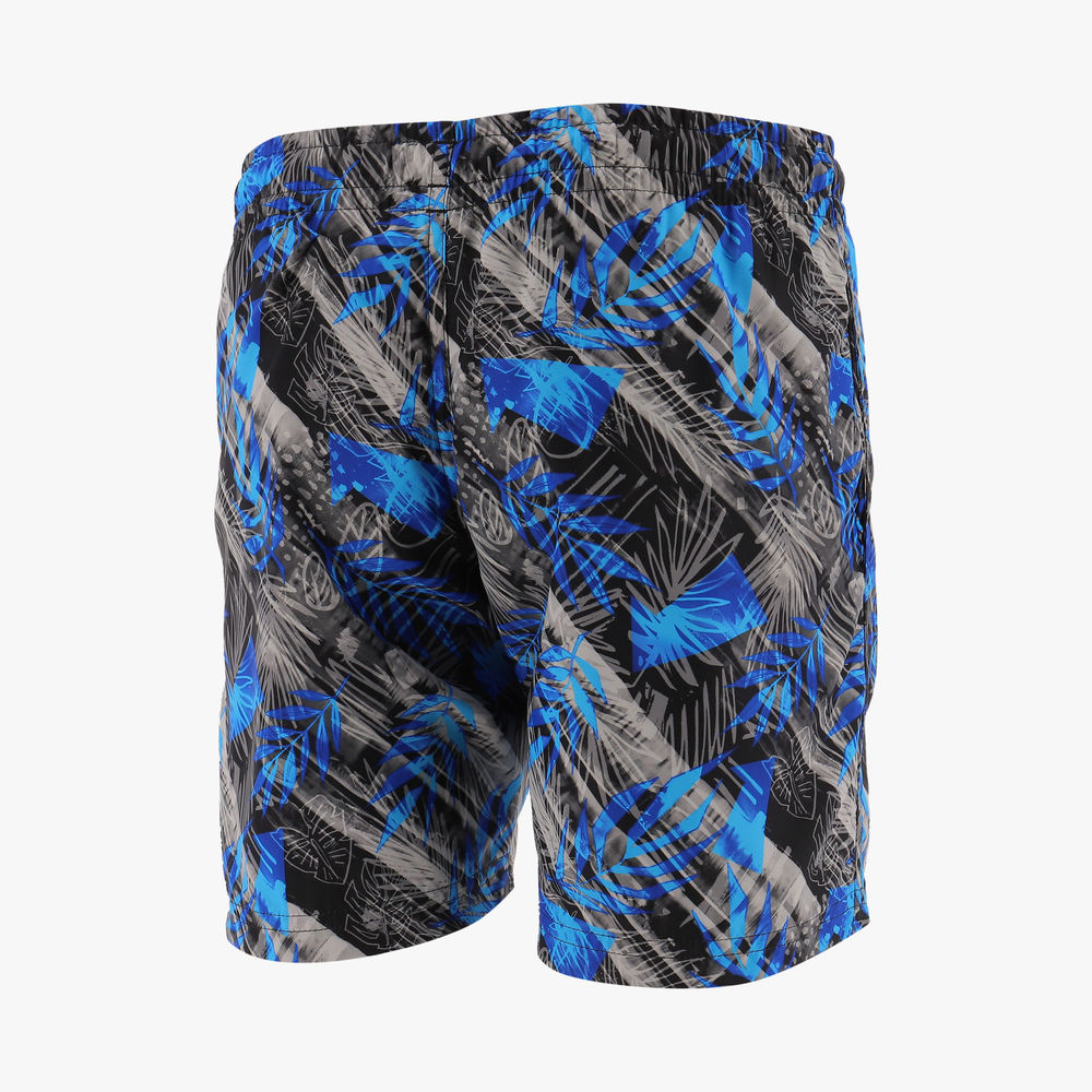 Speedo Chroma Blue | null | Ropa | Jovenes atletas | Niño | Productos ...