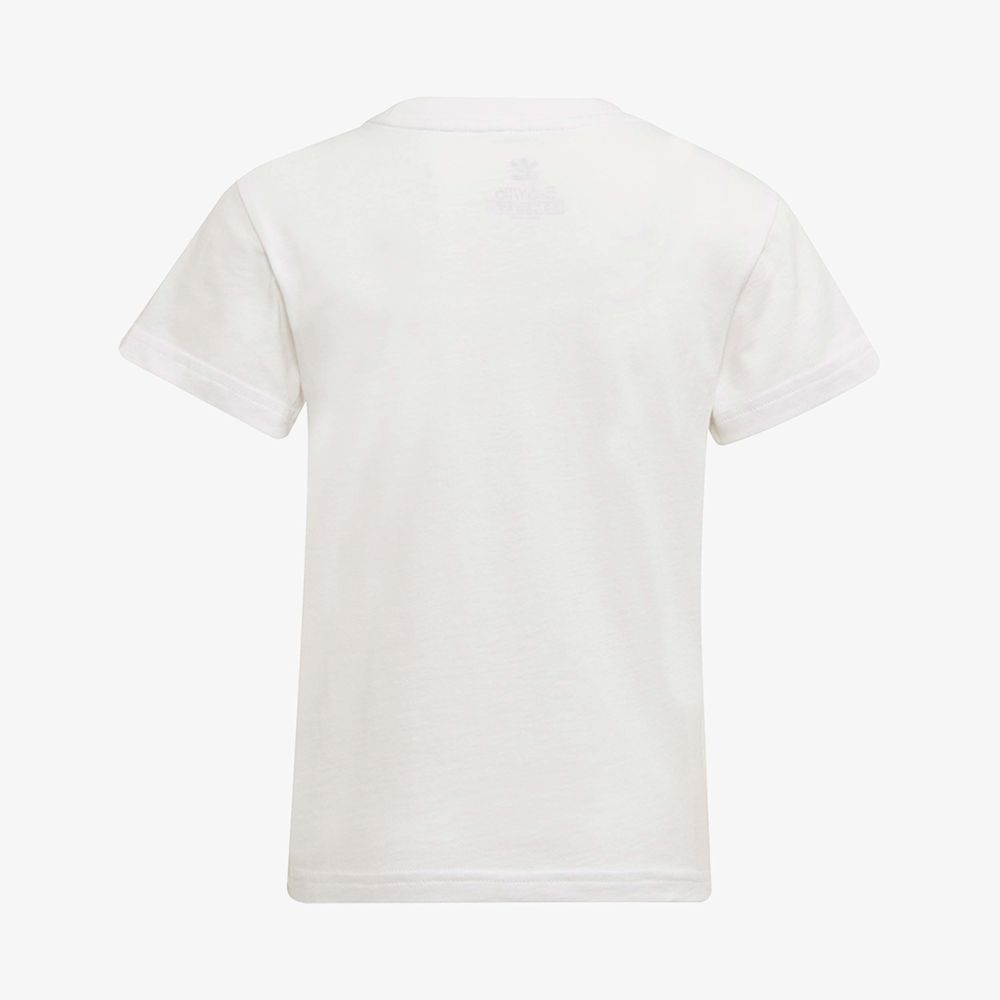 adidas Adicolor Trefoil | TAF Ecuador
