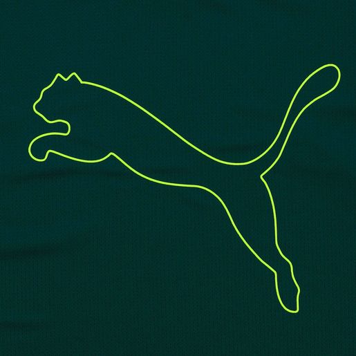 Puma Performance Cat | Marathon Sports Perú