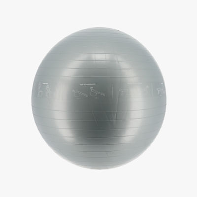 Gym Power Ball | Gym Power | Marca | Productos | Marathon Sports Perú