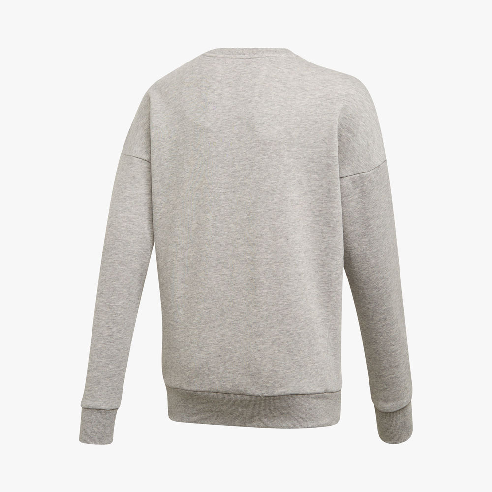 adidas MUST HAVES BADGE OF SPORT | Marathon Sports Ecuador