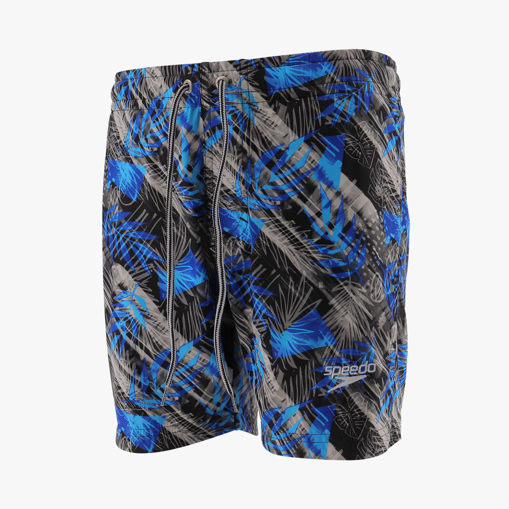 Speedo Chroma Blue | null | Ropa | Jovenes atletas | Niño | Productos ...