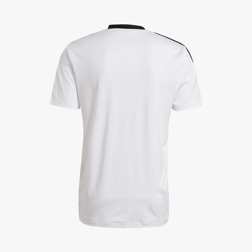 adidas Tiro 21 | adidas | Marca | Productos | Marathon Sports Ecuador